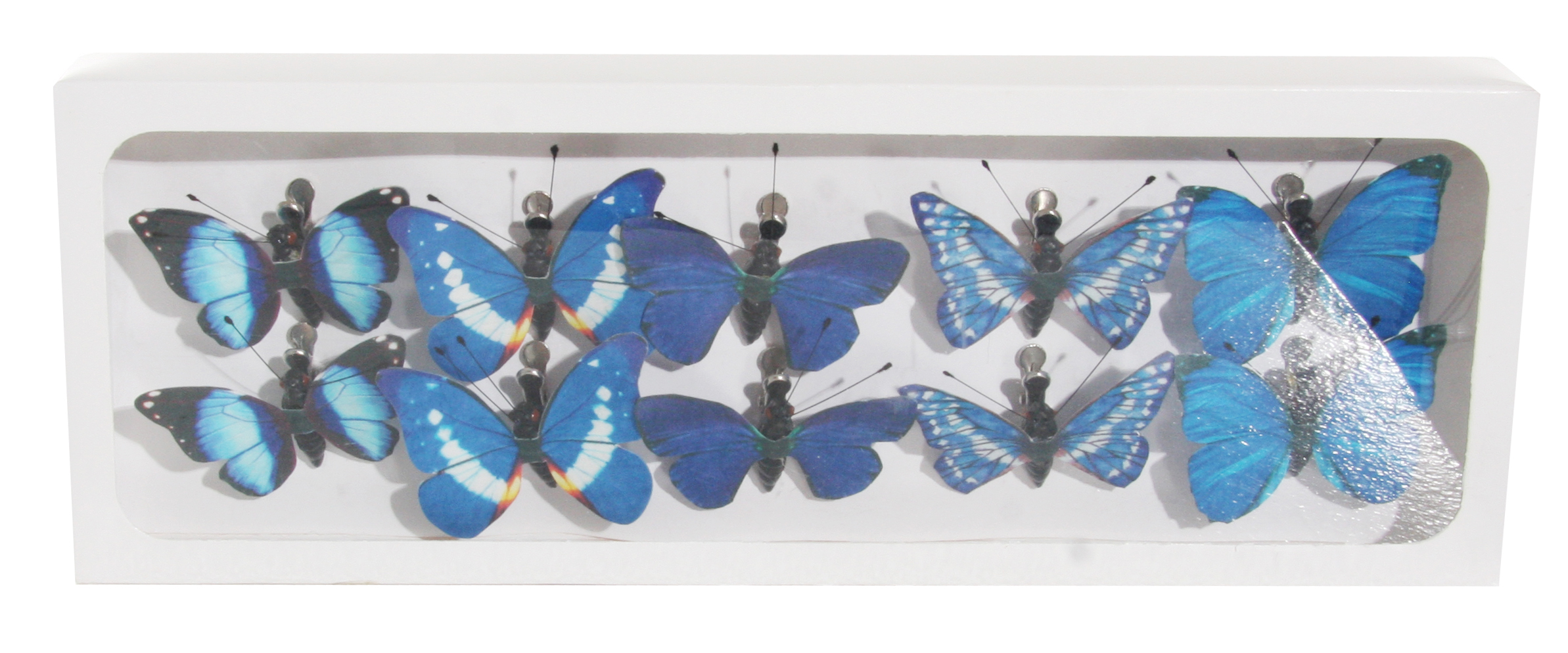 Decorative Paper butterfly blue