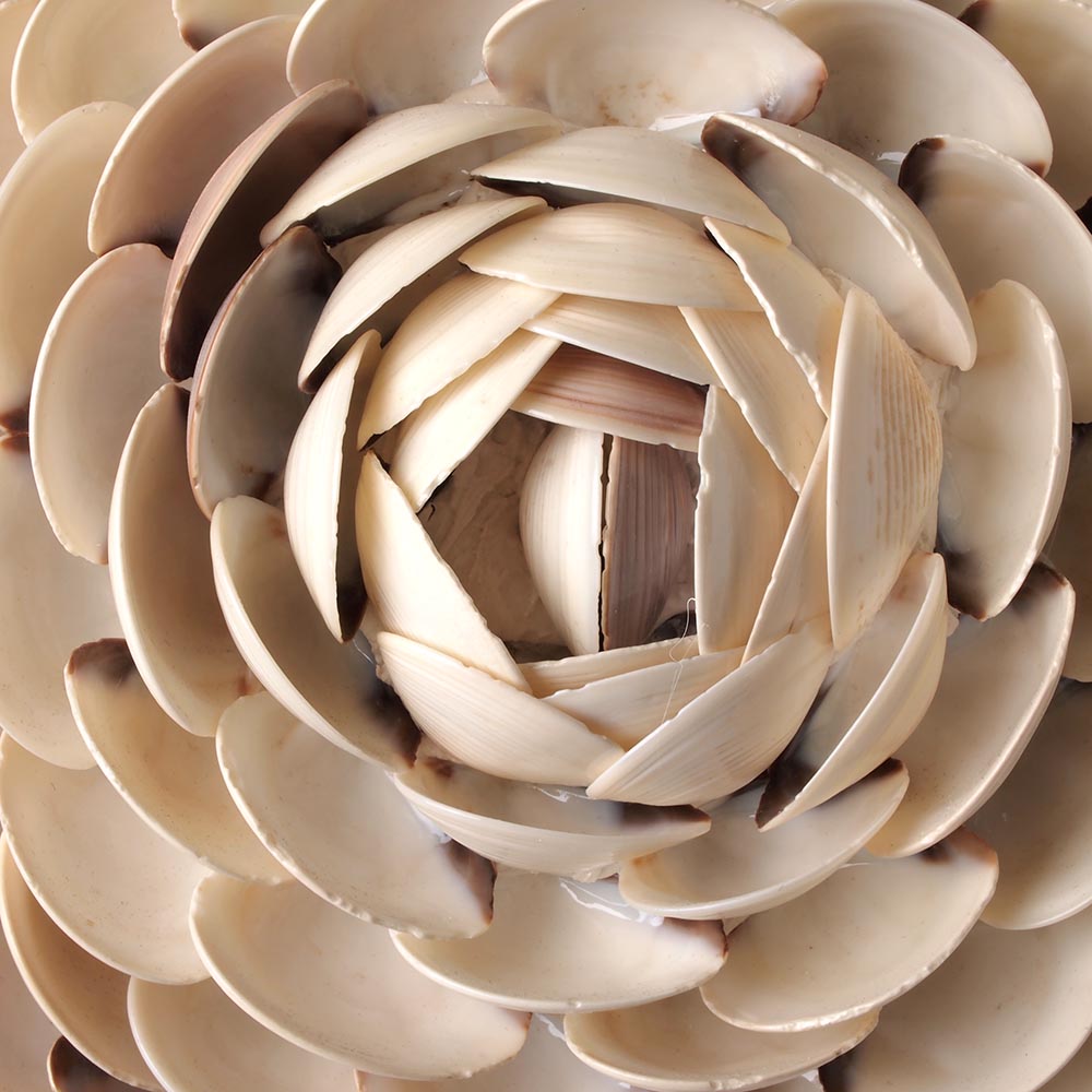 Vase Shell Flowers M