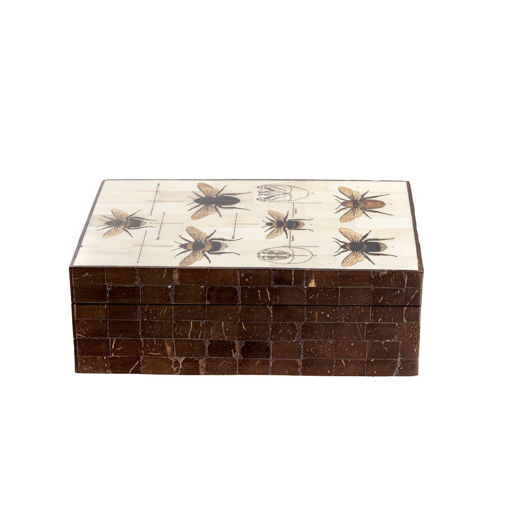 Box Coconut M